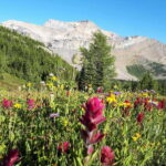 Skoki Lake Louise Daily Guided Hike in the Canadian Rockies - Authenticity and Value
