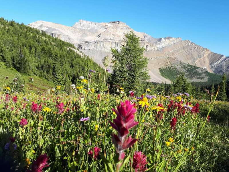 Skoki Lake Louise Daily Guided Hike in the Canadian Rockies - Authenticity and Value