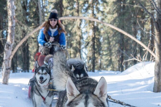 Sledding and Homesteading Adventure - Evaluating the Value