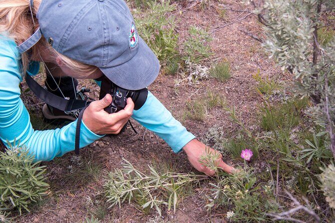 Slough Creek Naturalist Day Hike - The Sum Up: Is It Worth It?