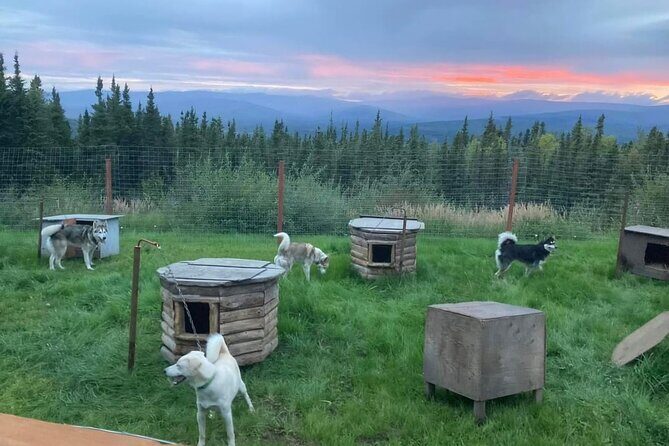 Sluice Box Kennel Experience - What’s Included and What’s Not
