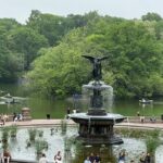 Small Group 2 Hours Walking Tour of Central Park - up to 8 people - What to Expect on the Tour