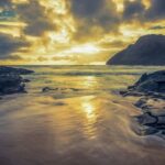 Small Group 3 Hour Honolulu Sunrise Tour with Malasadas - Who Will Love This Tour?