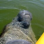 Small Group Boat, Kayak and Walking Guided Eco Tour Everglades - The Itinerary Breakdown: Why Each Stop Matters