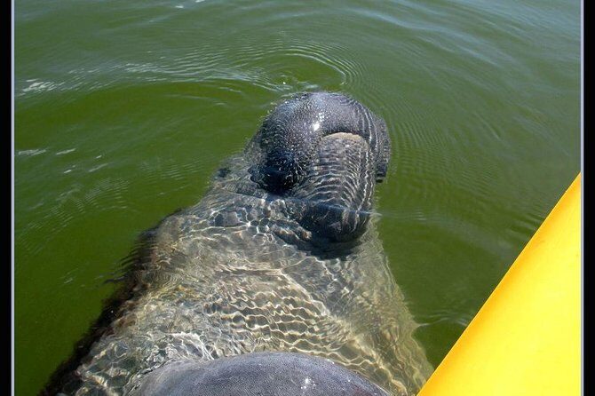 Small Group Boat, Kayak and Walking Guided Eco Tour Everglades - The Itinerary Breakdown: Why Each Stop Matters
