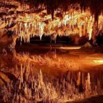 Small-Group D.C. Day Trip to Shenandoah Park & Luray Cavern - Starting Point and Logistics