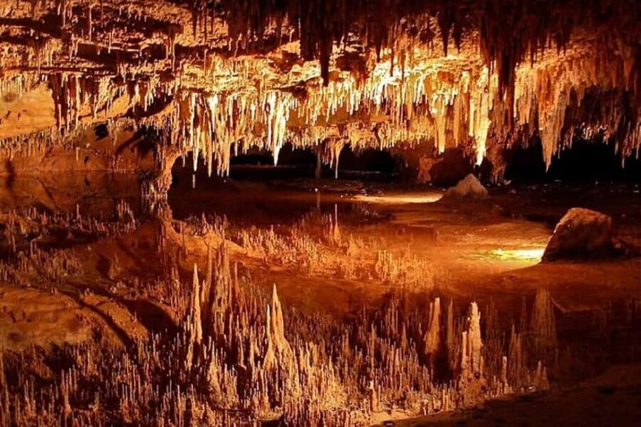 Small-Group D.C. Day Trip to Shenandoah Park & Luray Cavern - Starting Point and Logistics