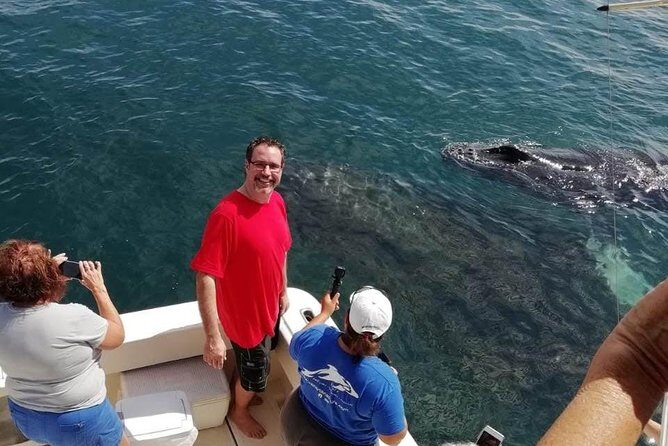 Small-Group Half-Day Whale-Watching Tour in Puerto Vallarta - Why Choose This Tour?