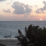 Small-Group Mesoamerican Barrier Reef Snorkeling in Puerto Morelos - The Practicalities: What You Need to Know