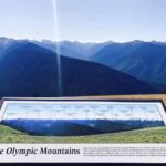 Small Group: Olympic National Park Day Tour From Seattle - Practicalities and Comfort