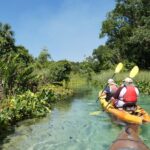 Small Group Rock Springs Run Eco Kayak Adventure - Detailed Breakdown of the Itinerary