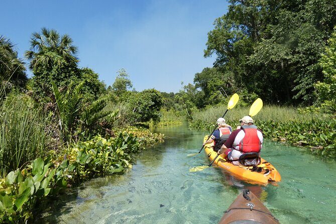 Small Group Rock Springs Run Eco Kayak Adventure - Detailed Breakdown of the Itinerary