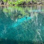 Small Group Silver Springs State Park Day Tour from Orlando - Pricing and Value Analysis