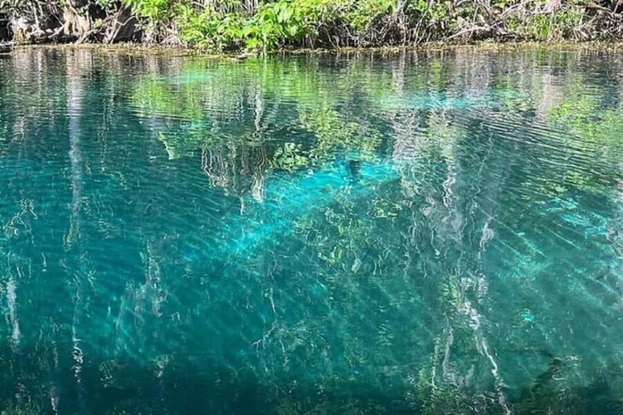 Small Group Silver Springs State Park Day Tour from Orlando - Pricing and Value Analysis