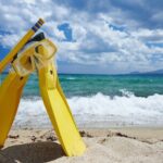 Small-Group Snorkel Adventure in San Jose del Cabo - Who Will Love This Tour?