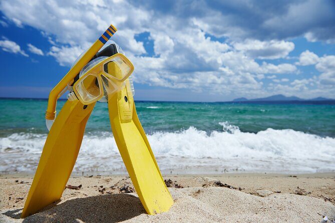 Small-Group Snorkel Adventure in San Jose del Cabo - Who Will Love This Tour?