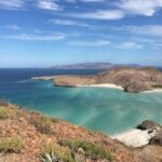 Small Group Snorkeling and Swim with Whale Sharks & Sea Lions in La Paz - Why This Tour Is a Great Choice