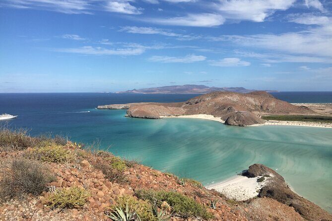 Small Group Snorkeling and Swim with Whale Sharks & Sea Lions in La Paz - Why This Tour Is a Great Choice