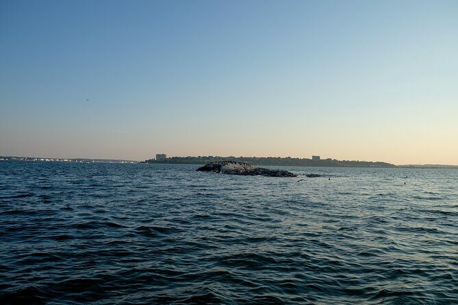 Small Group Sunset Lighthouse Boat Cruise With Local Drinks - Who Will Love This Tour?