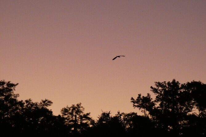Small Group Sunset Paddle Among Manatees near Orlando - What’s Included and What’s Not