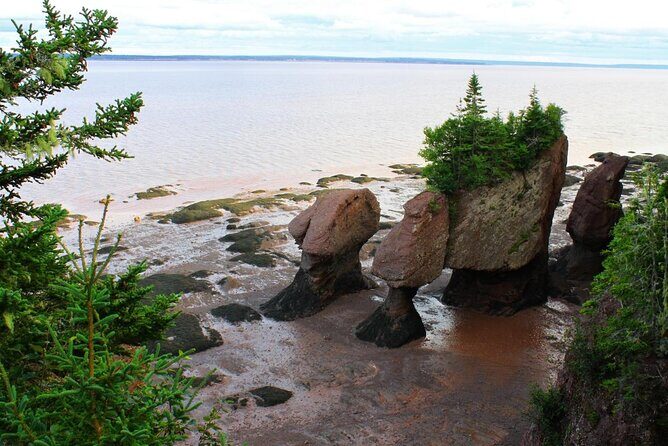 Small Group Tour - Peggy's Cove, Lunenburg, the Annapolis Valley - Queensland Beach: A Quick Dip in the Sea