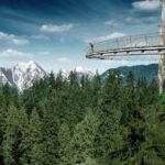 Small Group Tour: Vancouver Sightseeing and Capilano Suspension Bridge - The Sum Up