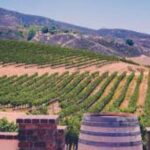 Small Group Wine Tour to Temecula from Los Angeles - What’s Included and What’s Not