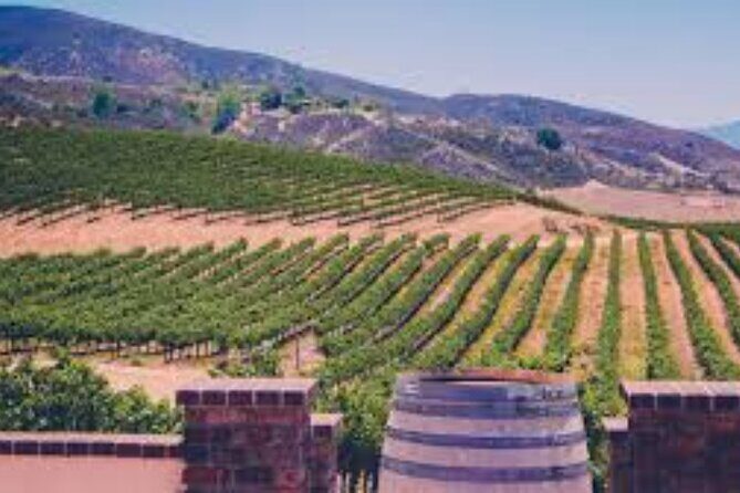 Small Group Wine Tour to Temecula from Los Angeles - What’s Included and What’s Not