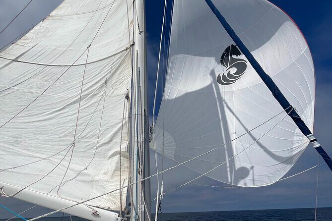 Small Private Catamaran Sunset Tours in San Diego - An In-Depth Look at the Experience