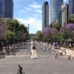 Small VIP Group: The Ultimate Mexico City Tour - Final Thoughts