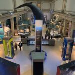Smithsonian National Museum of Natural History Guided Tour - Authentic Experiences and Real Feedback