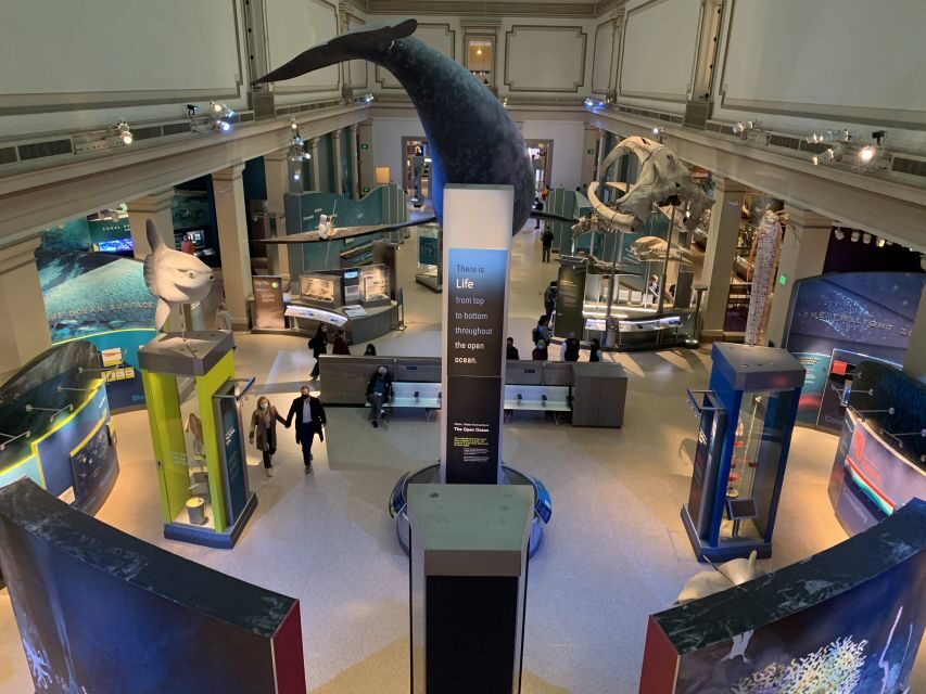 Smithsonian National Museum of Natural History Guided Tour - Authentic Experiences and Real Feedback