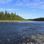 Snake River FullDay Group Fishing Trip - Authentic Perspectives from Travelers