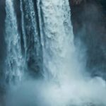 Snoqualmie, Twin Falls & Ancient Forest (Transport Included) - An In-Depth Look at the Tour Experience