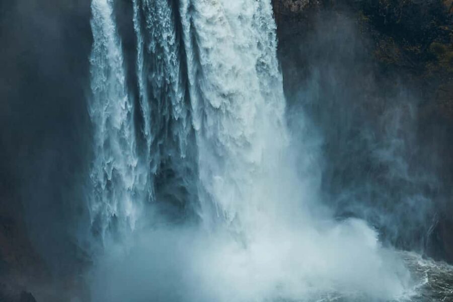 Snoqualmie, Twin Falls & Ancient Forest (Transport Included) - An In-Depth Look at the Tour Experience