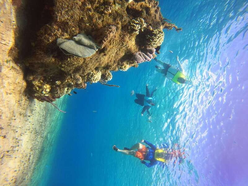 Snorkel along the coast with Chivis Del Mar. - What the itinerary looks like