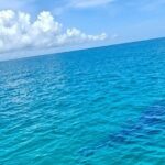 Snorkel and Swimming with Whale Shark in Cancun - Who Is This Tour Best For?