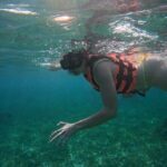 Snorkel at the Reef 2 HOURS Puerto Morelos National park - Is This Tour Right for You?
