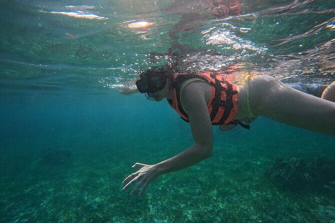 Snorkel at the Reef 2 HOURS Puerto Morelos National park - Is This Tour Right for You?