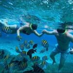 Snorkel in Cozumel and visit to El Cielo - What Makes This Tour Stand Out