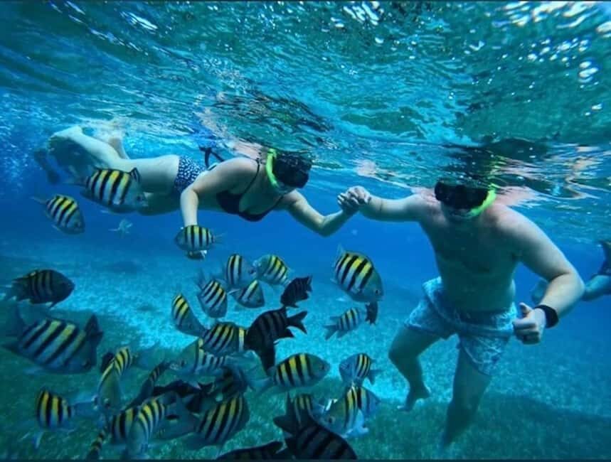 Snorkel in Cozumel and visit to El Cielo - What Makes This Tour Stand Out