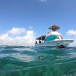 Snorkel in the beautiful reef of Puerto Morelos with transport - The Real-World Feedback