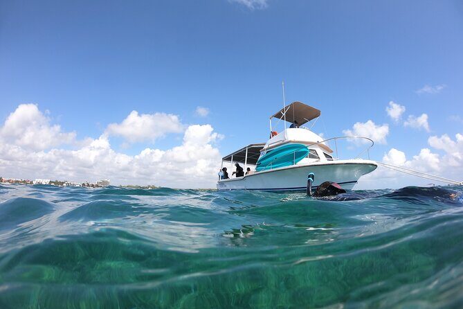 Snorkel in the beautiful reef of Puerto Morelos with transport - The Real-World Feedback