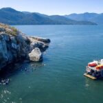 Snorkel, Kayak, and Seal Adventure: Vancouver Boat Tour - The Value of the Tour