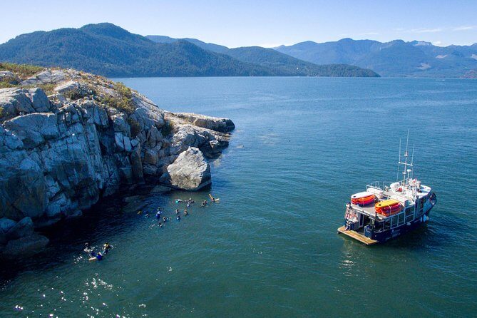 Snorkel, Kayak, and Seal Adventure: Vancouver Boat Tour - The Value of the Tour