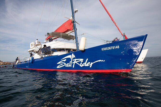 Snorkel, Lunch & Sail in Cabo San Lucas - Who Will Love This Tour?