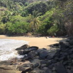 Snorkel to Playa del Toro departing from Sayulita : day at the beach - Who Will Love This Tour?