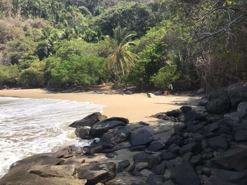 Snorkel to Playa del Toro departing from Sayulita : day at the beach - Who Will Love This Tour?