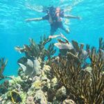 Snorkel Tour on the Costa Maya with experienced Guid - FAQ
