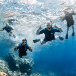 Snorkel with Turtles and Free Underwater Photos Lahaina - Is this Tour Right for You?